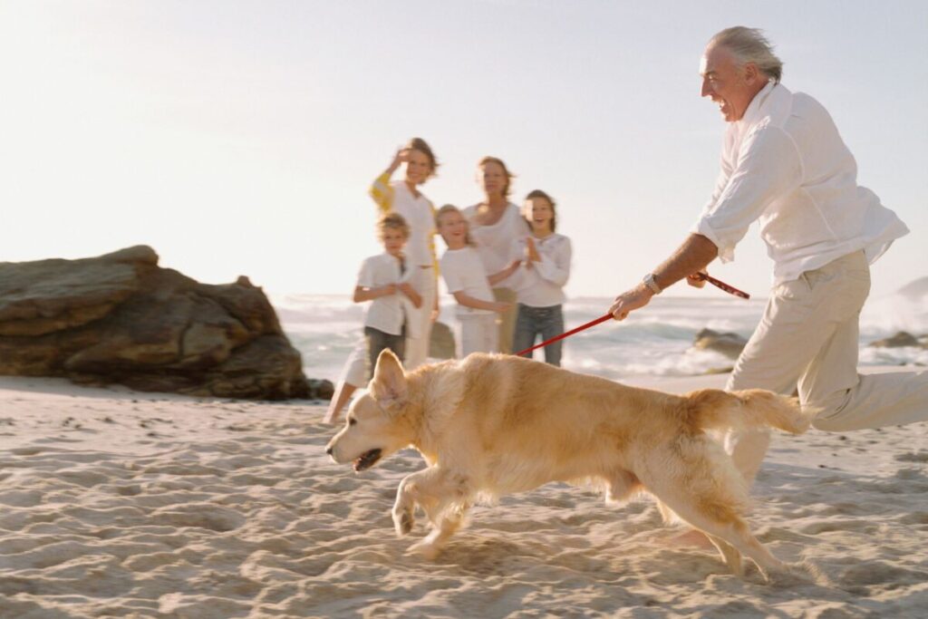 Wealth Updates | Moiler Wealth