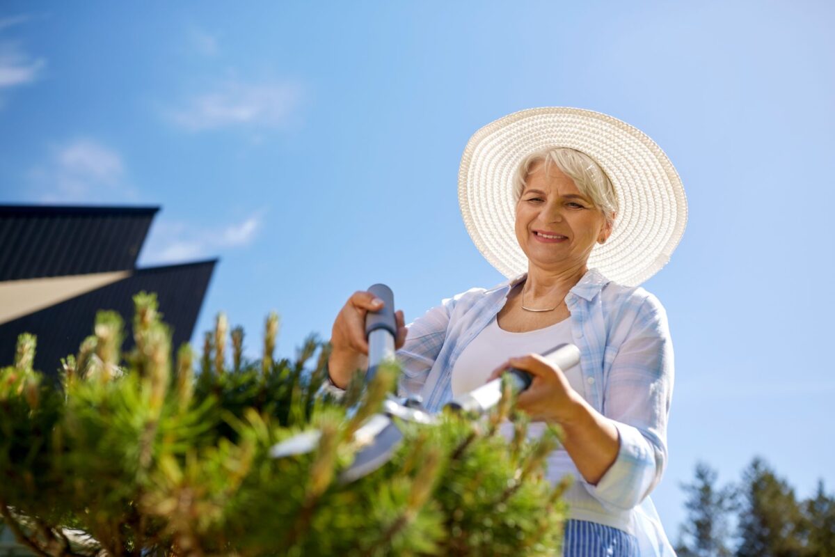 Now & Next Spring Edition | Moiler Wealth
